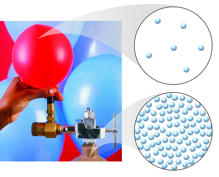 Solved: The Figure Below Shows The Particulate Images Of T... | Chegg.com