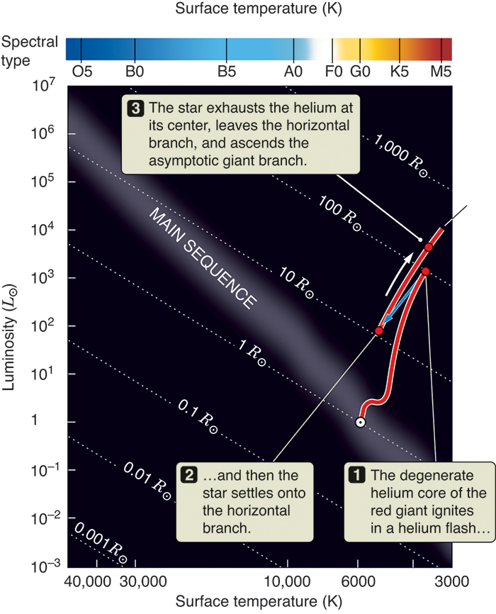 Solved: When The Core Of A Red Giant Becomes Hot Enough To... | Chegg.com
